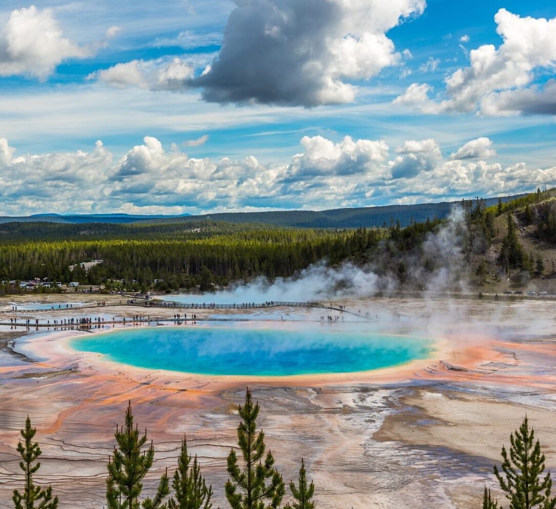 Educational Software Development | Happy Jack Software